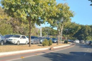 Capivara é encontrada morta na avenida Piauí, em Timon - Elias Lacerda